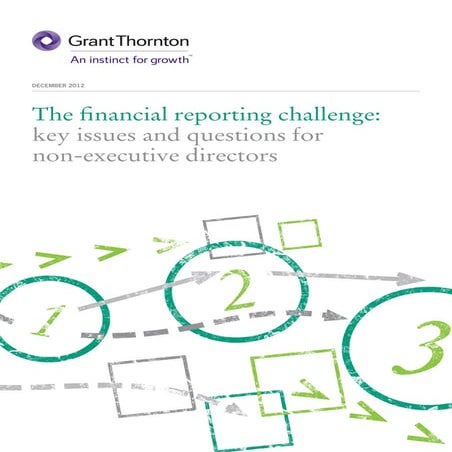 The financial reporting challenge: key issues and questions for non ...