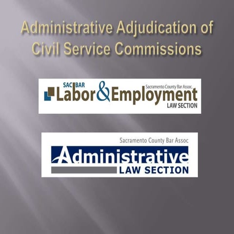 Revised rules on administrative cases in the civil service | PDF