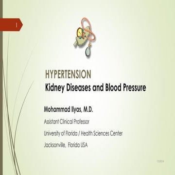 Hypertension and renal diseases | PDF