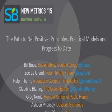 The Path to Net Positive: Principles, Practical Models and Progress to ...