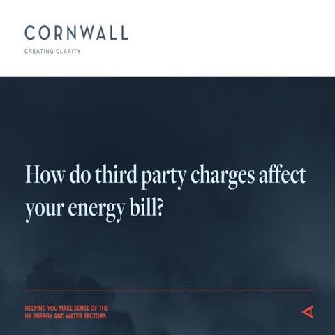 How do Third Party Charges Affect your Energy Bill | PDF