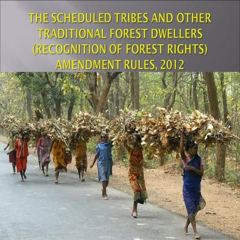 13. the scheduled tribes and other traditional forest dwellers act ...