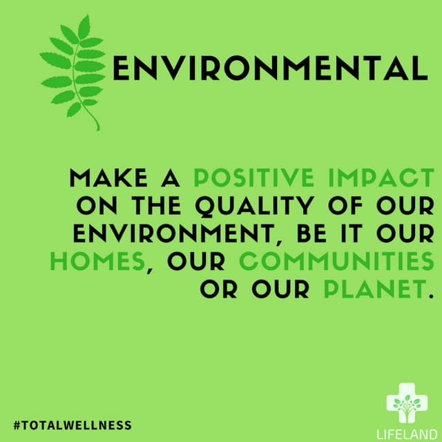Environmental Wellness | PDF