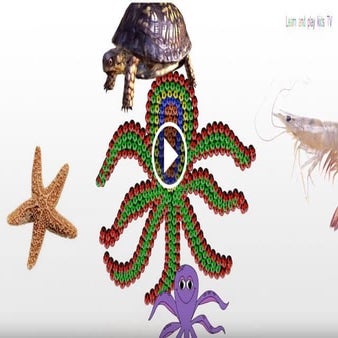 learn sea animals names and sounds water animals seahorse octopus ...