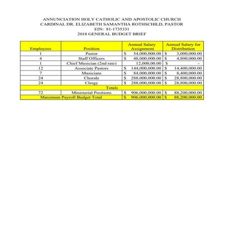 13. general budget brief | PDF | Business Accounting & Finance | Business