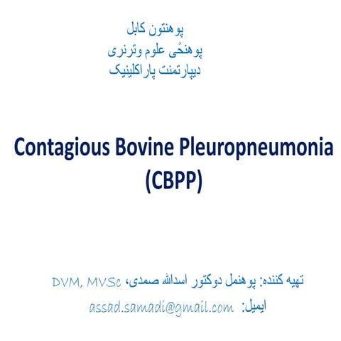 13. Contagious bovine pleuropneumonia | PDF