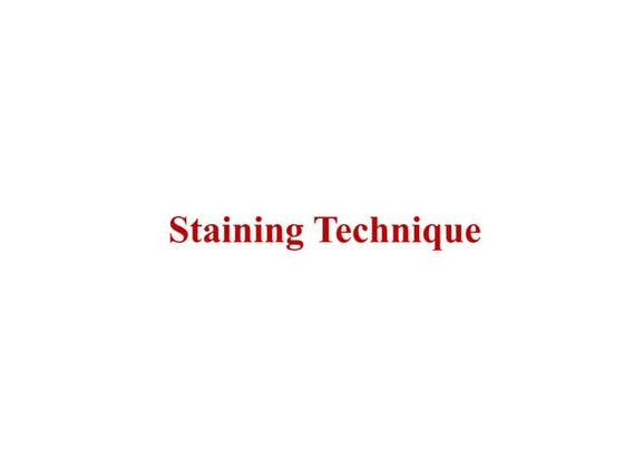 Gram Staining Pptx
