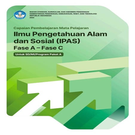 13. CP IPAS.pdf