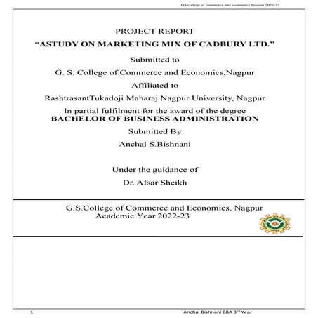 marketing project report with images pdf | PDF