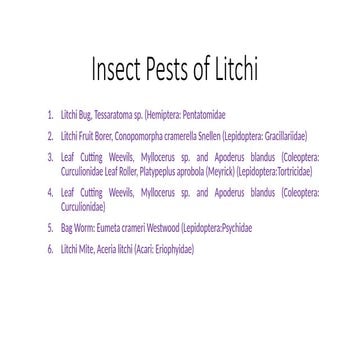 Presentation on the Insect Pests of Litchi | PPTX