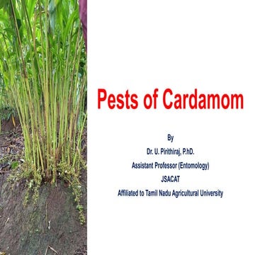 Pests of Cardamom_Identification_IPM_Dr.UPR.pdf