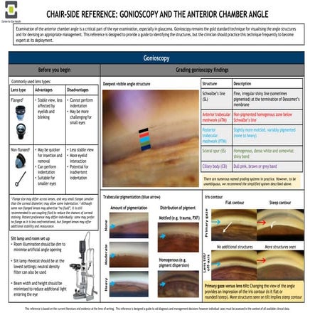 13. Gonioscopy-and-anterior-chamber-angle.pdf