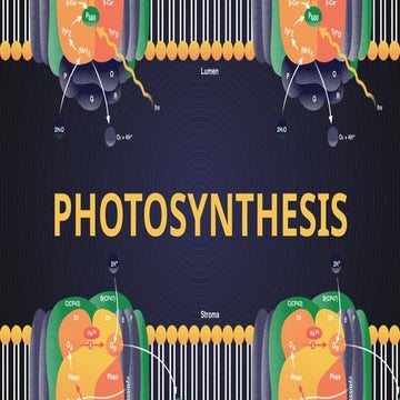 Photosynthesis Process/ Light Dependent/ Light Independent | PPTX