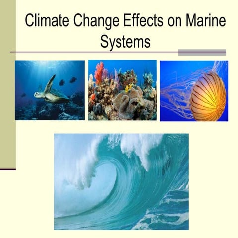 13 effects on oceans - updated | PPT