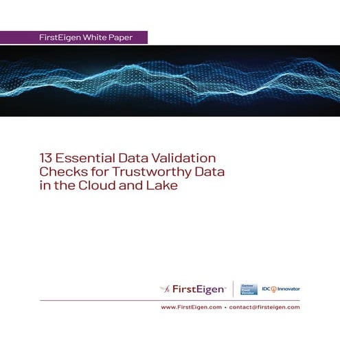 13-Essential-Data-Validation-Checks.pdf
