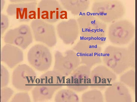 Malaria sem 6 students that are helpful for project report | PPT