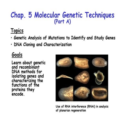 13-miller-chap-5a-lecture.ppt