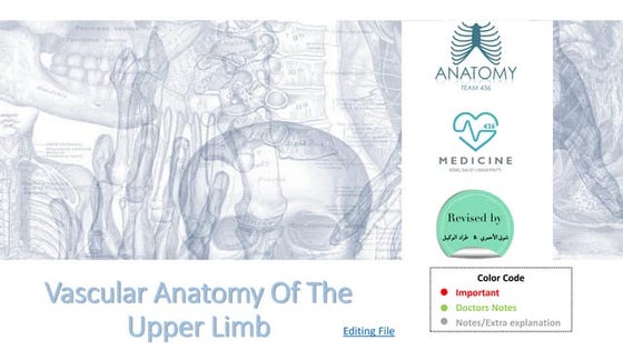 ARTERIES OF THE UPPER LIMB PPT ANATOMY PDF | PDF