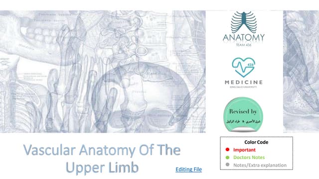 21-Vascular anatomy of the lower limb.pptx