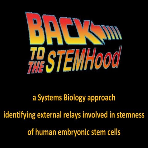 Leukemia Stem Cell Transplantation | PPTX