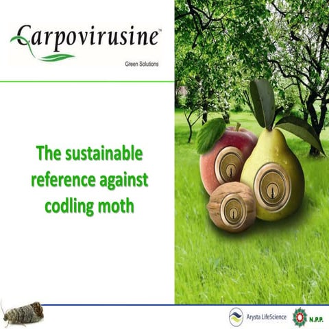 CYD-X for Codling Moth Control Pdf | PDF