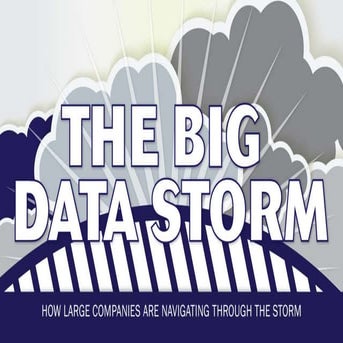 The Big Data Storm | PPTX