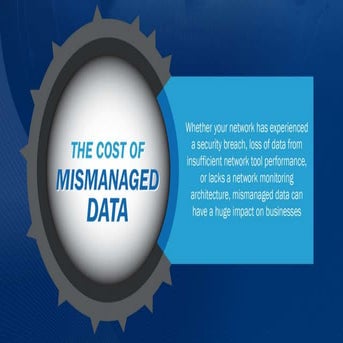The Cost of Mismanaged Data | PPTX