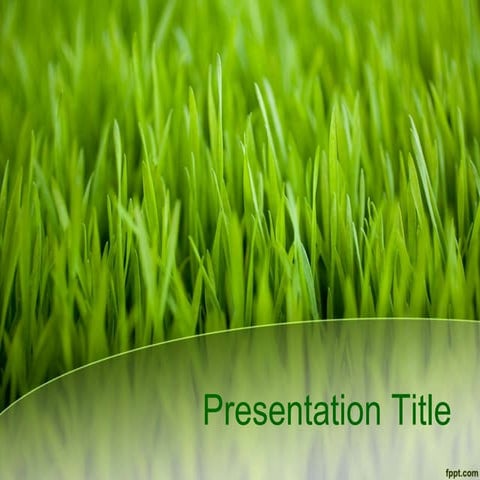 Green Grass ppt template | PPTX