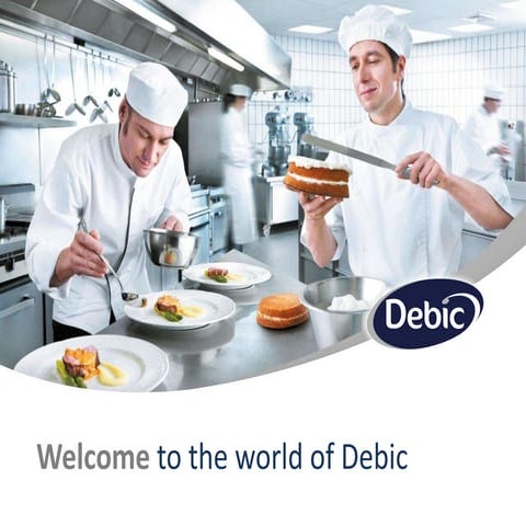 130606 debic corporate-ppt | PPTX