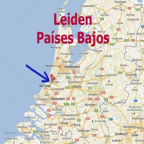Leiden, Netherlands | PPS