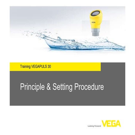 13072021-Training Online VEGAPULS 31. Setting | PDF