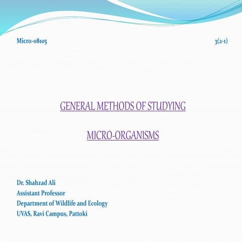 method of studing microbial 13114527.ppt