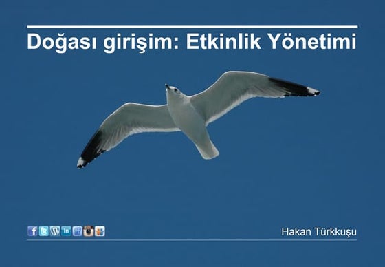 Data Visualisation Techniques and Polish Workshop - Visualizing Marathon | KEY | Computing ...