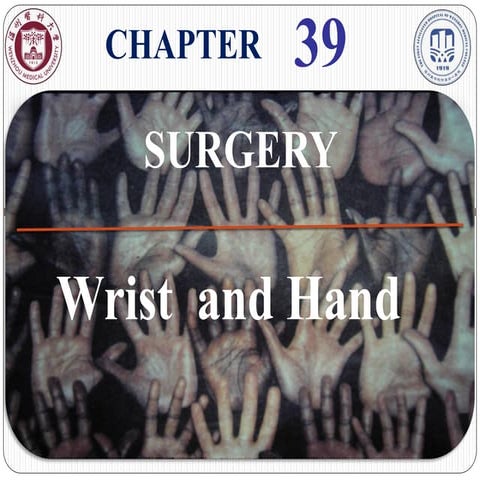 1320221012Wrist and Hand--chapter 39.pdf
