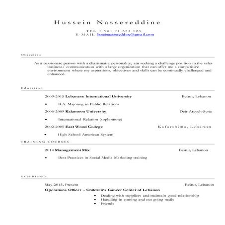 Hussein Nassereddine CV | DOCX