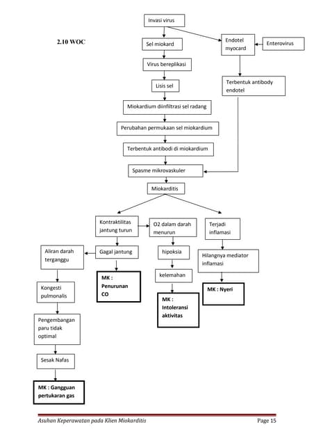 pathway dhfPathway dhf | DOCX