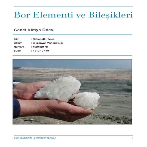 Bor Elementi - Şahabettin Akca | PDF