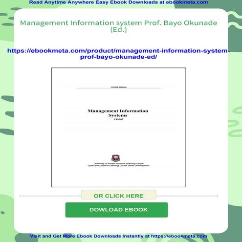 Management Information system Prof. Bayo Okunade (Ed.) | PDF