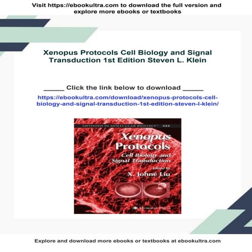 Xenopus Protocols Cell Biology and Signal Transduction 1st Edition ...