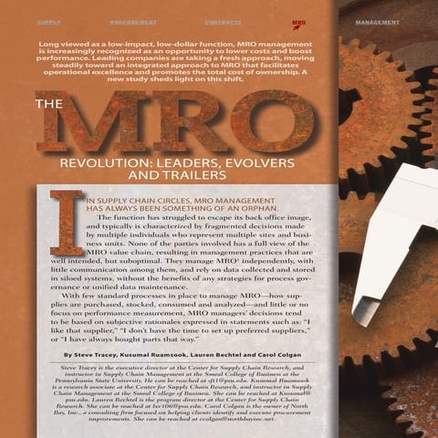 MRO Material Dispositioning | PPSX