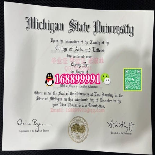 Michigan State University degree offer diploma Transcript | PDF ...