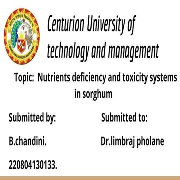 133-B.Chandini-deficiency and toxicity in sorghum .pptx