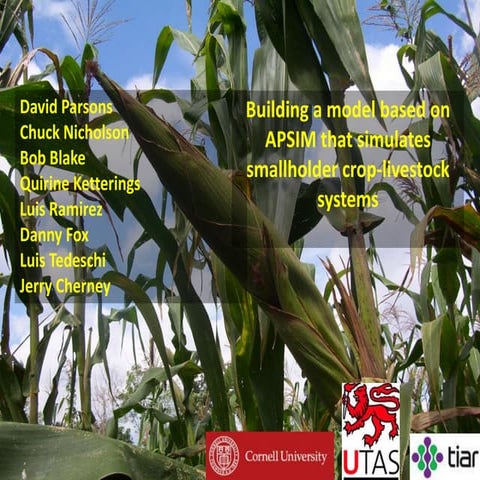 Building a model based on APSIM that simulates smallholder crop ...