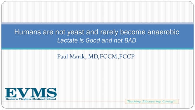 Frisk Documentation Model Training | PPTX