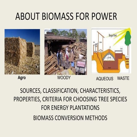 About biomass for power | PDF