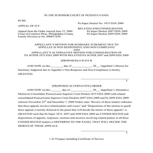 121609 Appellant Motion Summary Judgment Alternative Motion Consolidate ...