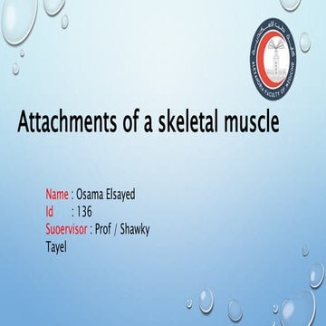 Attachments Of Skeletal Muscles | PPTX