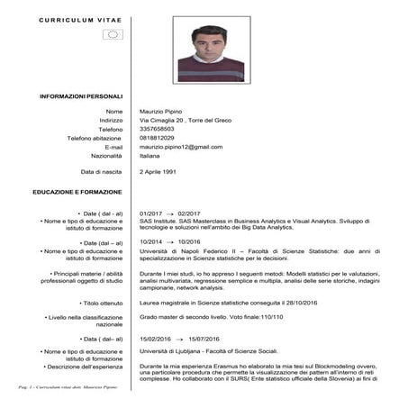CV MAURIZIO PIPINO | PDF