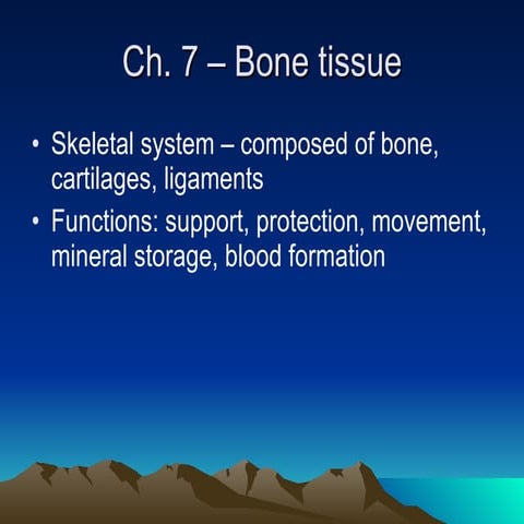 136 ch7bone[1] | PPT