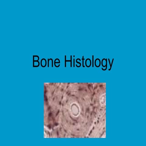 Bone Histology13732720 Bone Histology.ppt